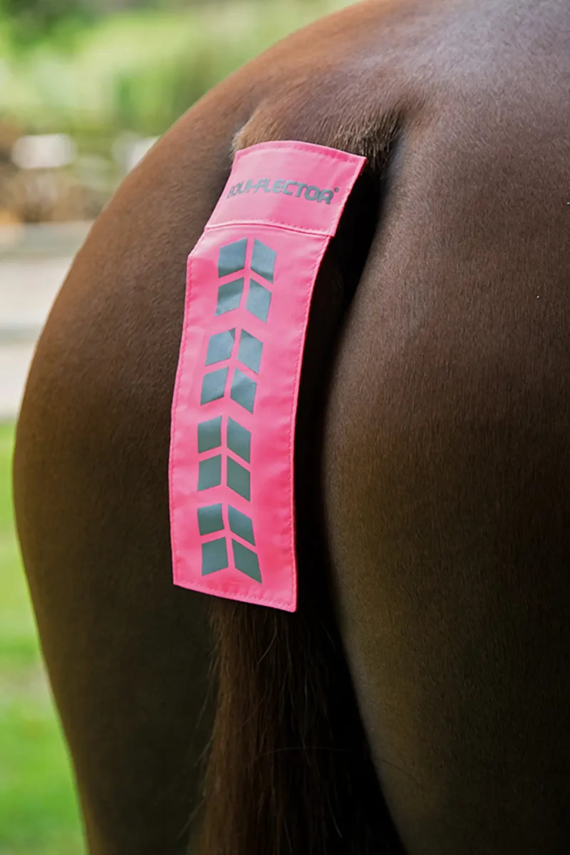 Equi-Flector Tail Strap in Pink